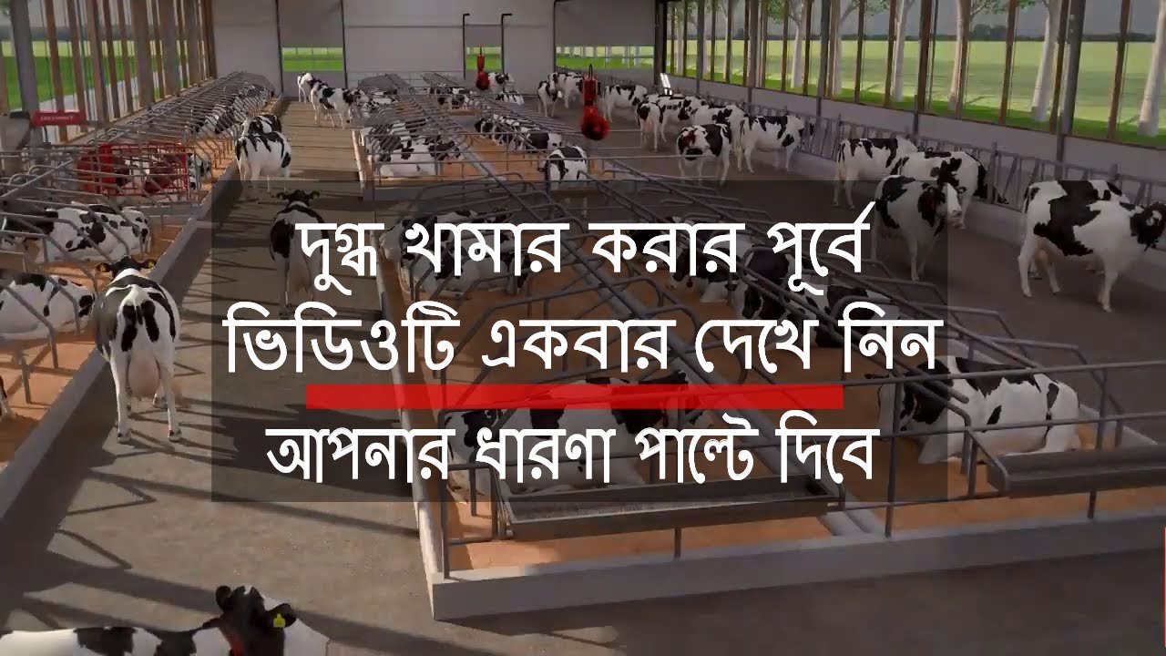Dairy Farm ll Dairy Farm in Bangladesh II Modern Dairy Farm in 3D ll ...
