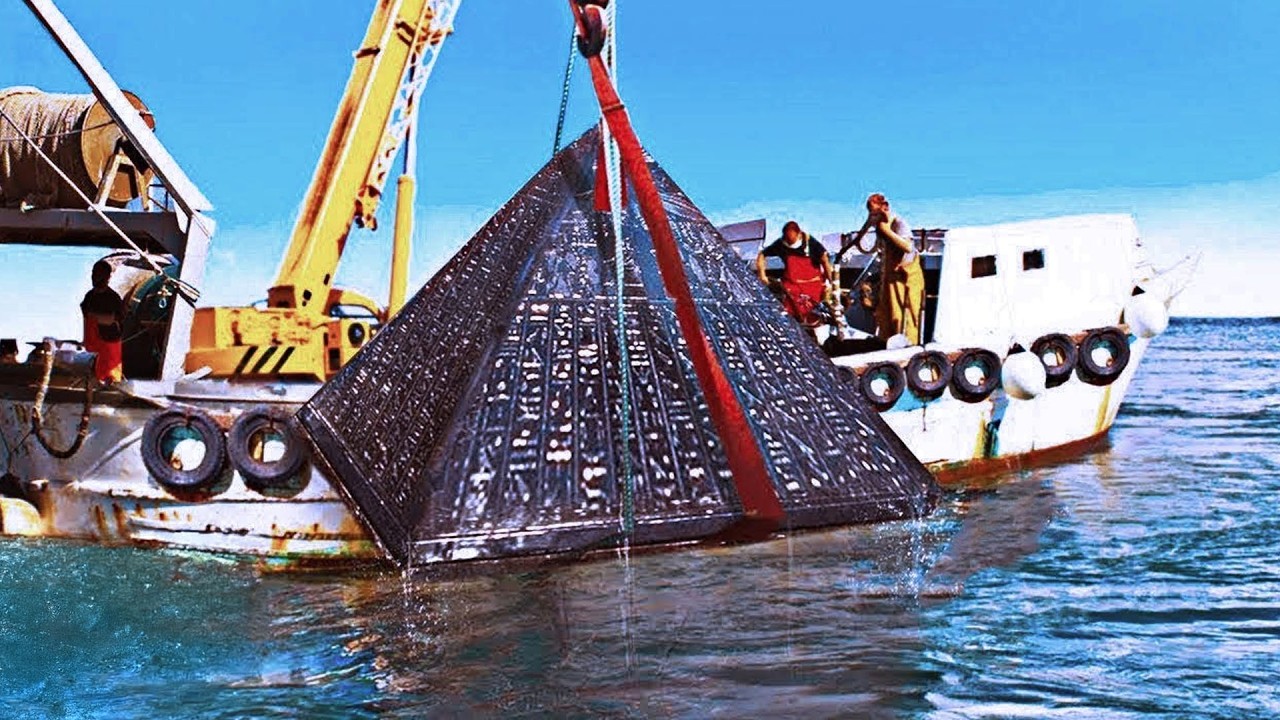 Scientists Are Hiding The Darkest Deep Sea Salvage Operations From You ...