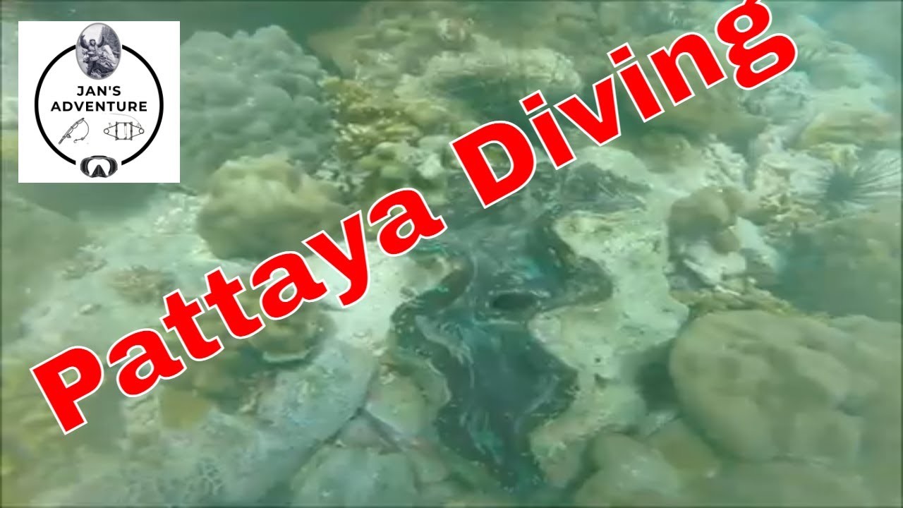 Exploring The Wonders Of Pattaya Underwater! - YouTube