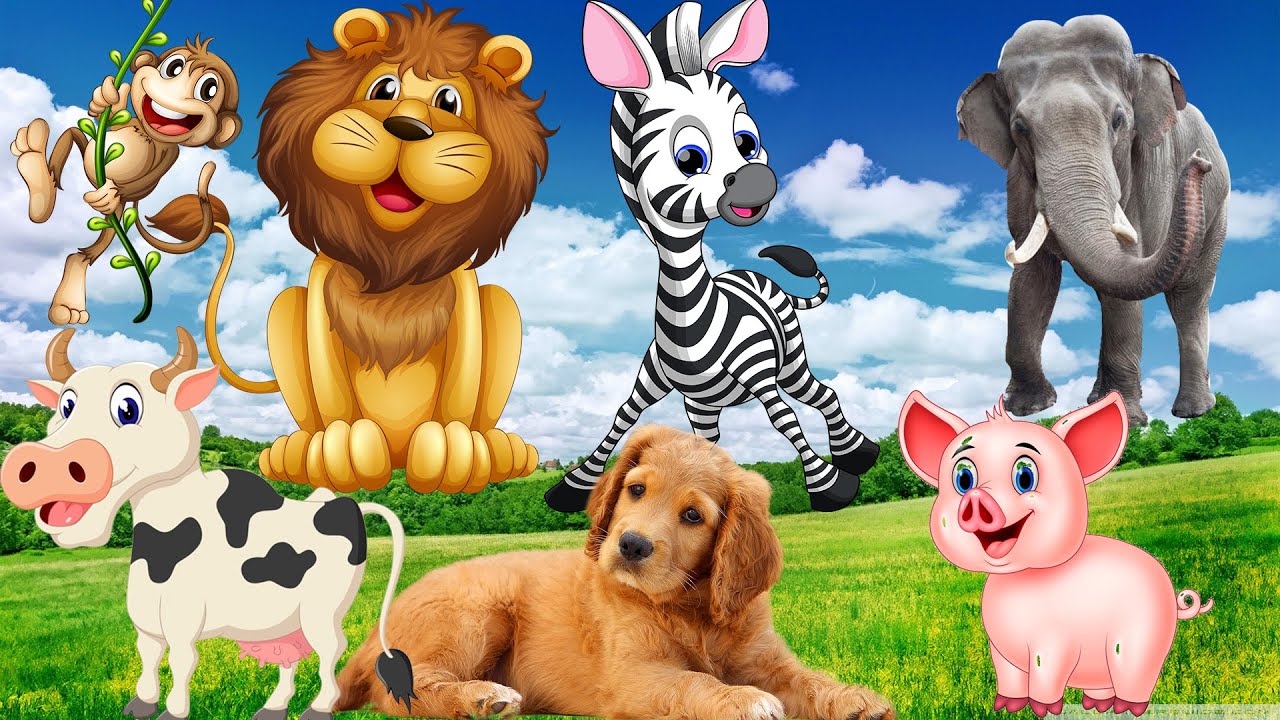 Video of mischievous animals, images of foraging animals: tigers ...