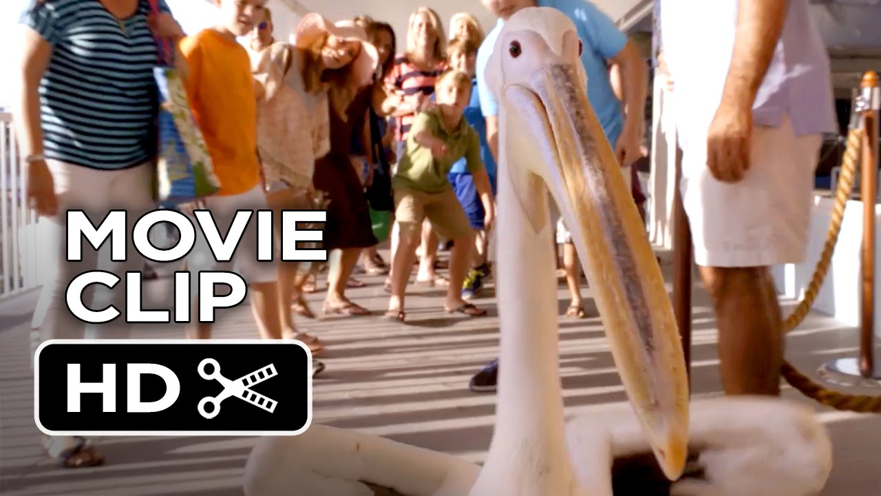 Dolphin Tale 2 Movie CLIP - Introducing Rufus (2014) - Morgan Freeman ...