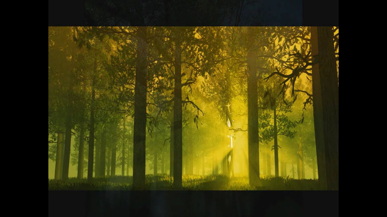 Abyssal Plains - Orphic Forest - YouTube