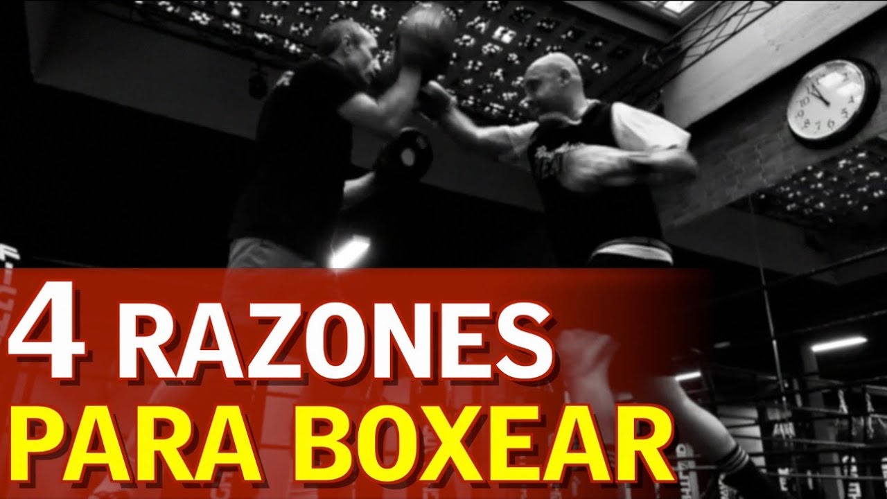 Estas son las 4 razones por las que debes animarte a boxear - YouTube