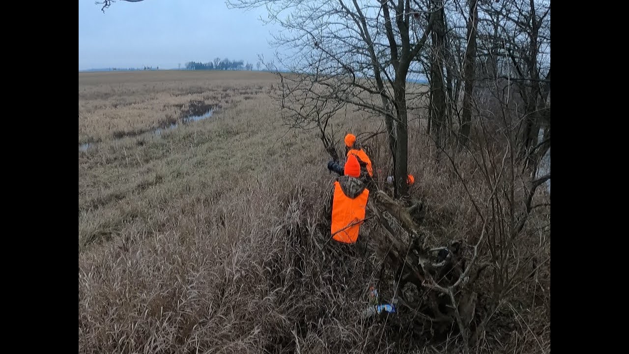 Muzzleloader Ohio Doe Hunt 1/6/24 - YouTube