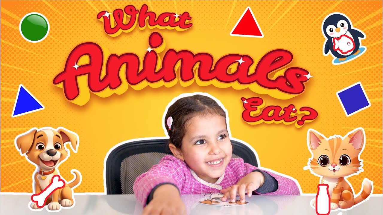 Learn About What Animals Eat? 🐶🍎 & Identify Shape And Sorting Challenge ...