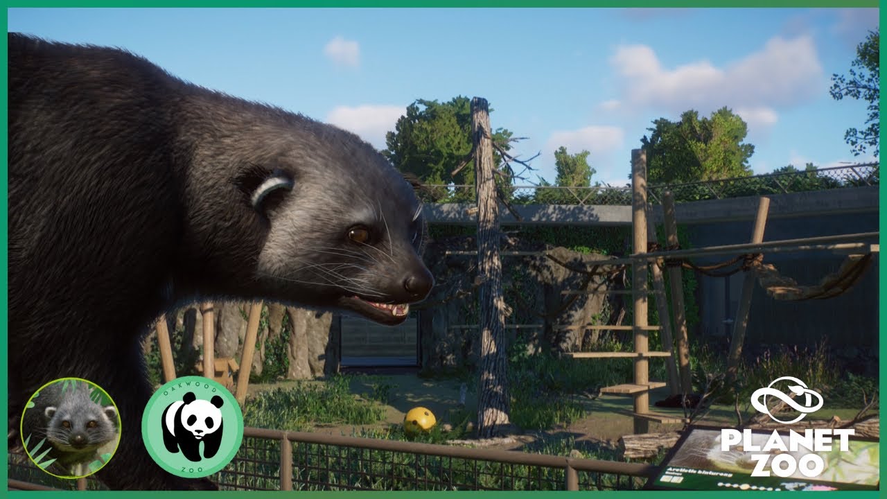 Binturong Enclosure | Ep. 9 | OakWood Zoo | Planet Zoo - YouTube