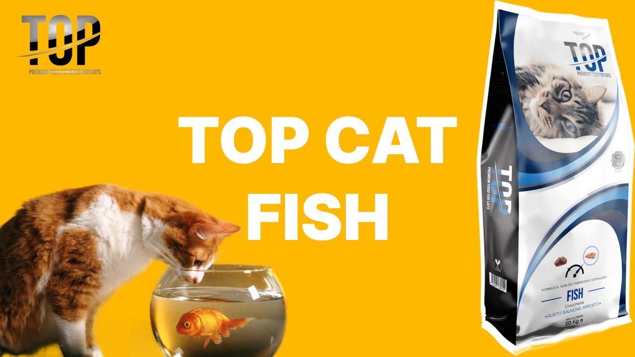 🇮🇹 TOP CAT FISH - справжній італійський корм для котів 🦁 - YouTube