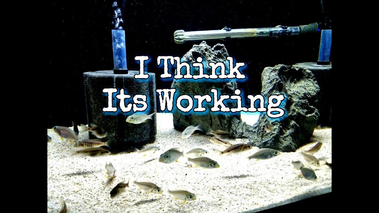 A Little Planning Can Go A LONG Way Towards A Successful Fish Aquarium ...