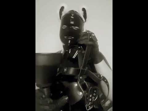 CD Dominatrix with funnel gag