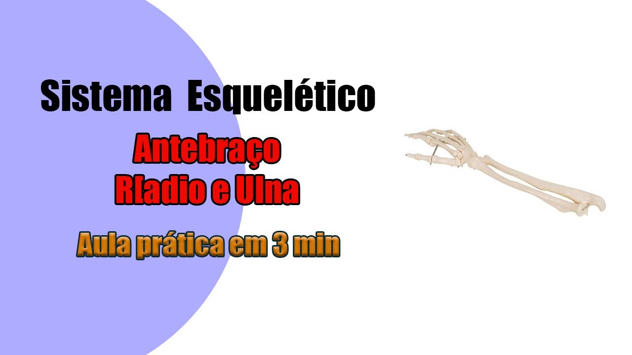 Rádio e Ulna - Ossos do Antebraço - Anatomia Humana - Anatomia - YouTube