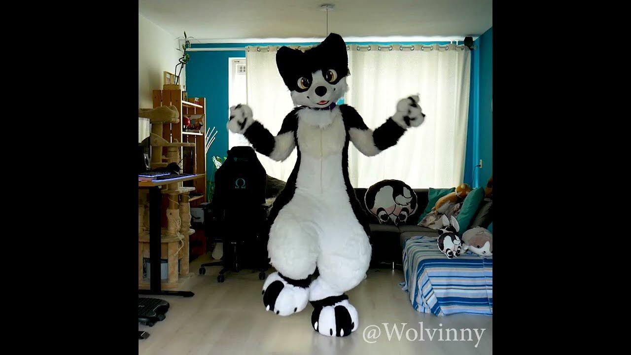 Fursuit Shorts Cheer Coco Youtube