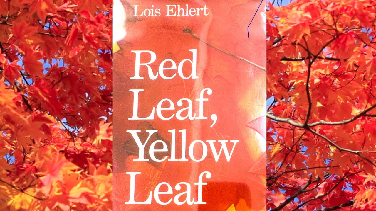 Red leaf yellow leaf by Lois Elhert - YouTube