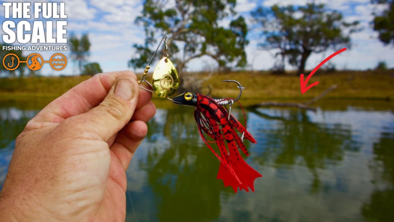 How To Catch Golden Perch Fishing River Murray | The Full Scale - YouTube