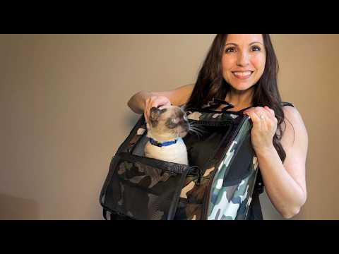 HONEST REVIEW - Petux- Convenient Backpack Carrier