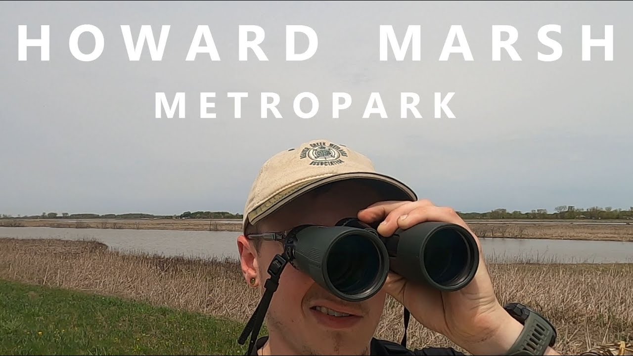 On Location: Howard Marsh Metro Park - YouTube