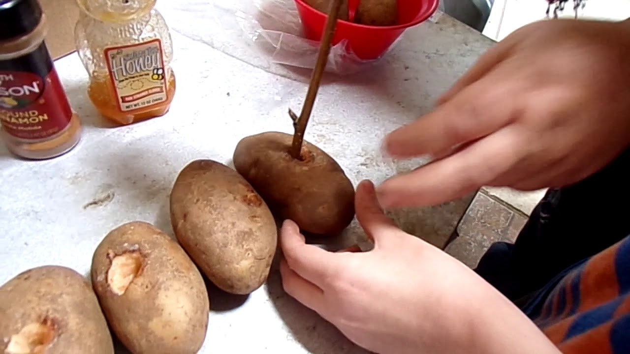 how to clone fruit trees - YouTube