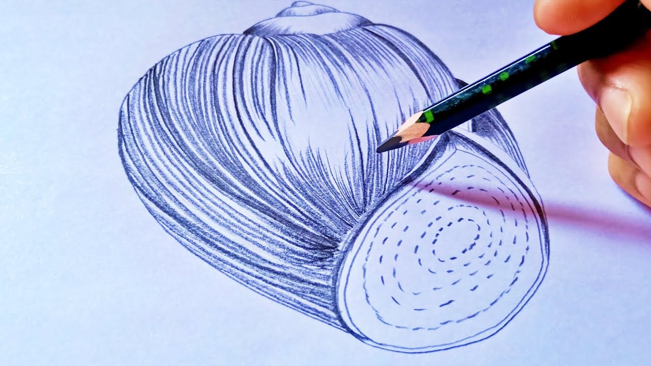 How to Draw Apple Snail || How to Draw Pila globosa || How to Draw ...