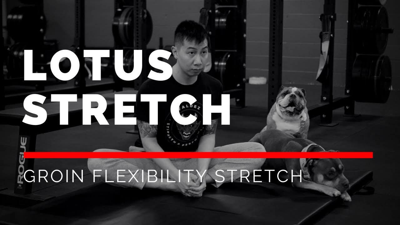Lotus Stretch (EASY GROIN Stretching Exercise) - YouTube