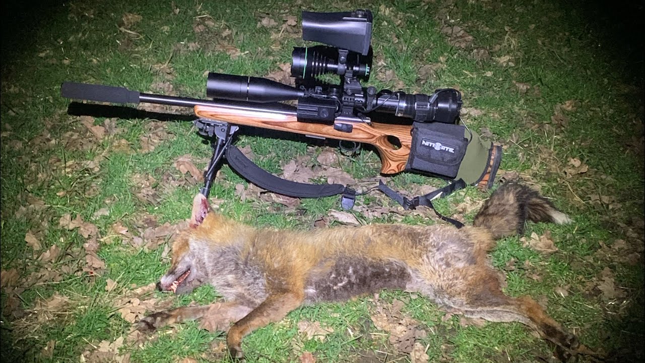 17 hmr vs fox - YouTube