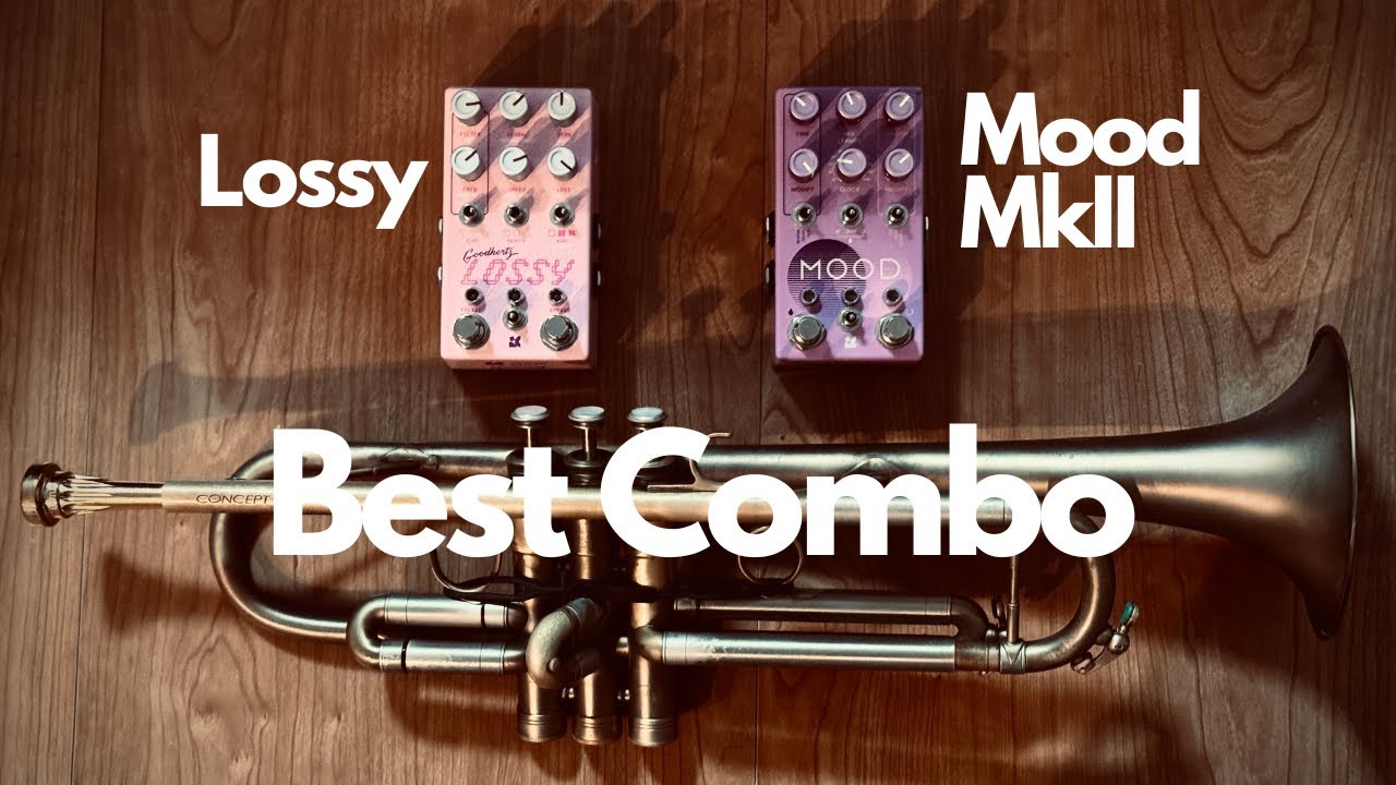 Chase Bliss Lossy sounds great, especially in combination with Mood ...