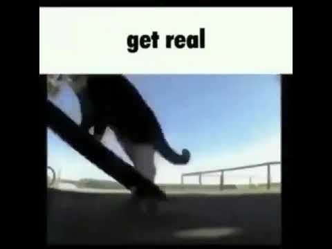 Get Real (Cat Version) - YouTube