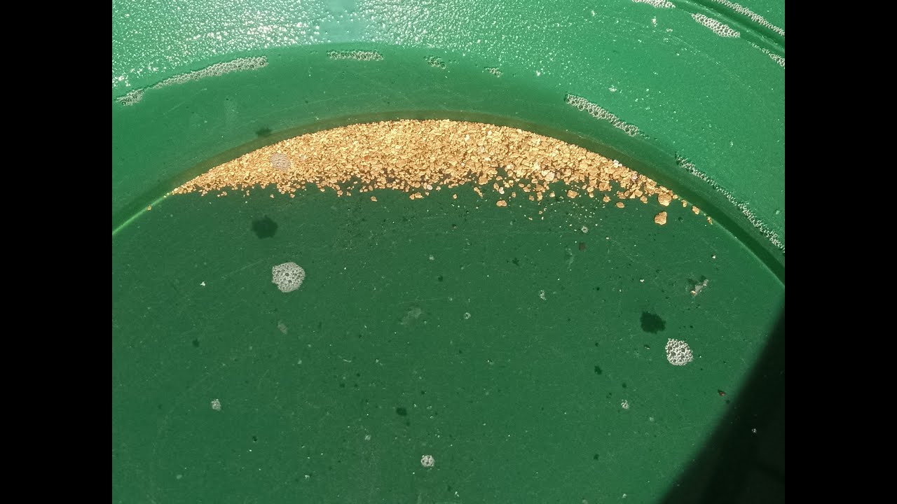 The day has come. Time to clean up my GOLD for the year, and weigh it ...