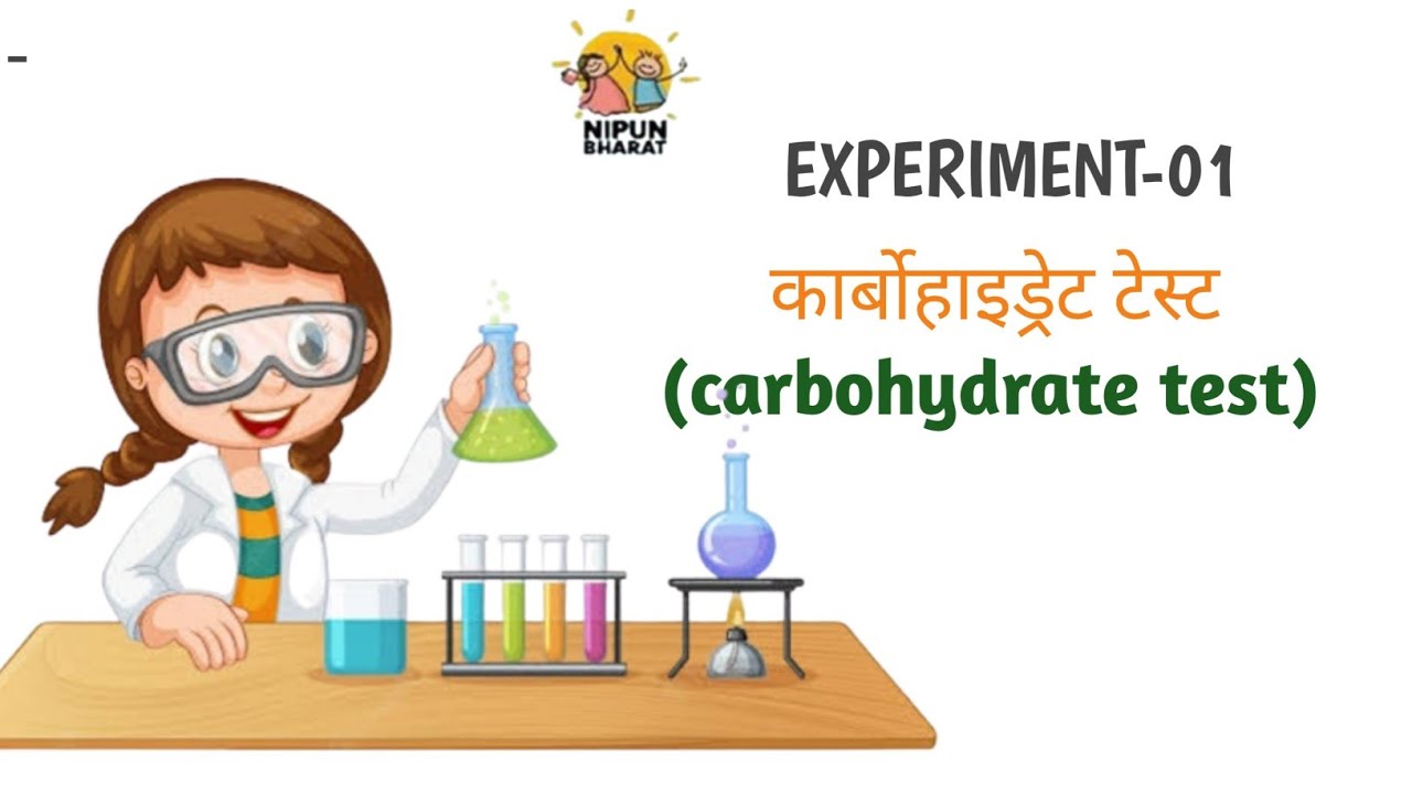 Experiment 01- Carbohydrate Test - YouTube