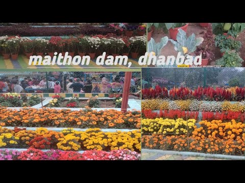 millenium park maithan ,dhanbad - YouTube