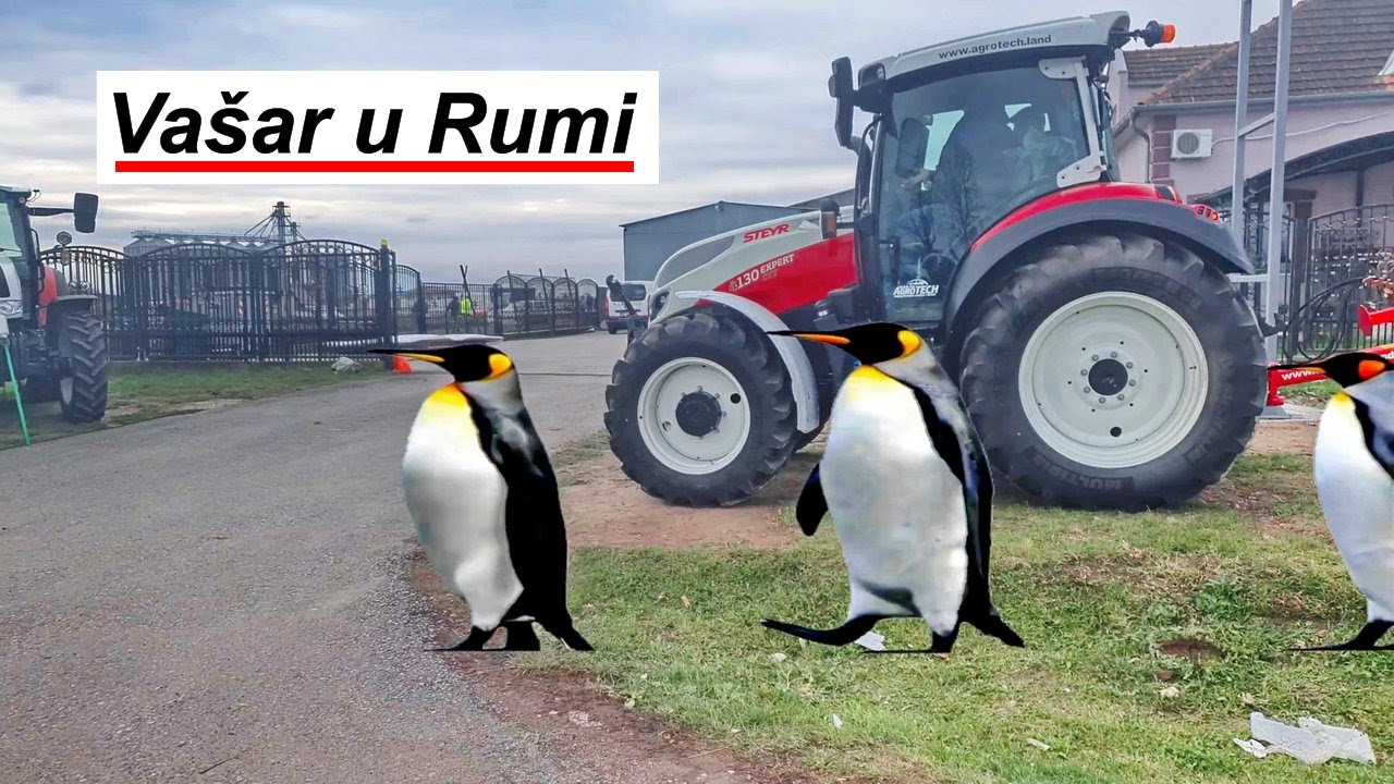 Vašar u Rumi 03. 12. 2023 Rumski vašar - YouTube