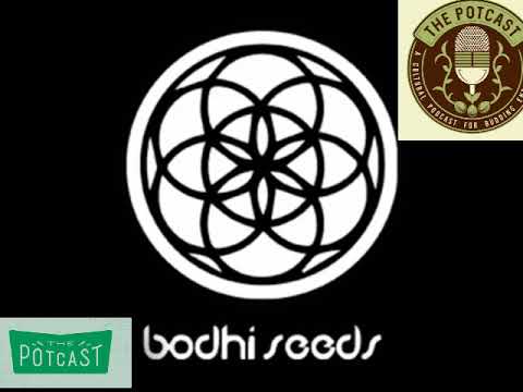 Episode 10 - Bodhi of Bodhi Seeds / Nierika / Supernatural Selections - 01/07/17