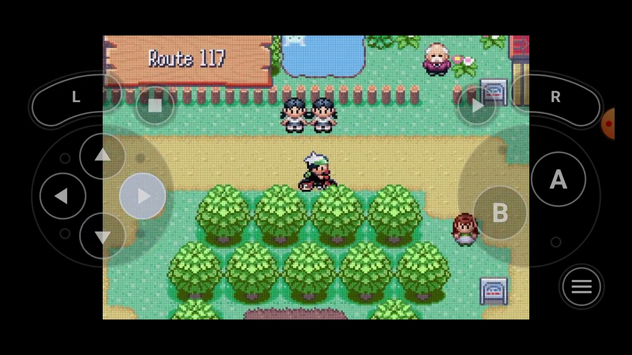 Pokemon Emerald : National Dex Reverse MultiType Team Gameplay : Badge ...