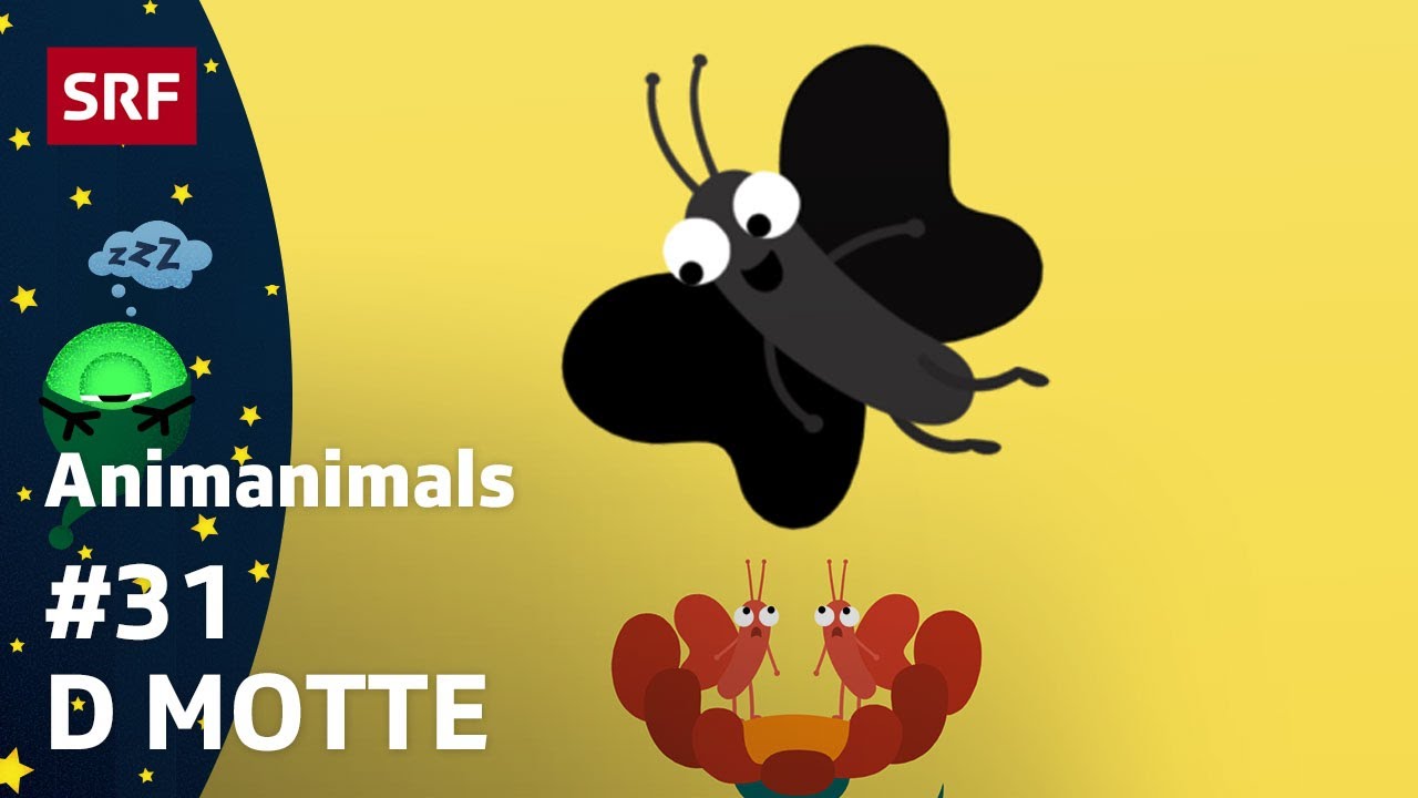Guetnachtgschichtli: Animanimals – Motte #31| Kindervideos | SRF Kids ...