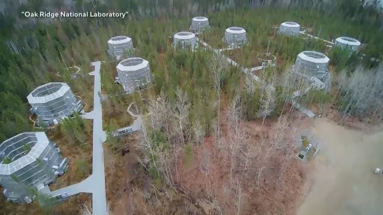 Minnesota’s climate change time machine - YouTube