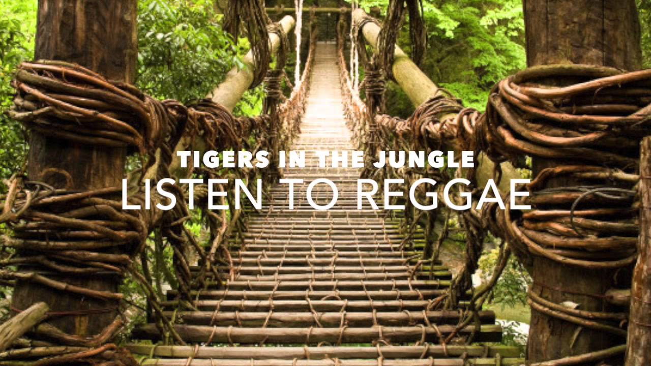 Listen To Reggae (Tigers In The Jungle) - YouTube