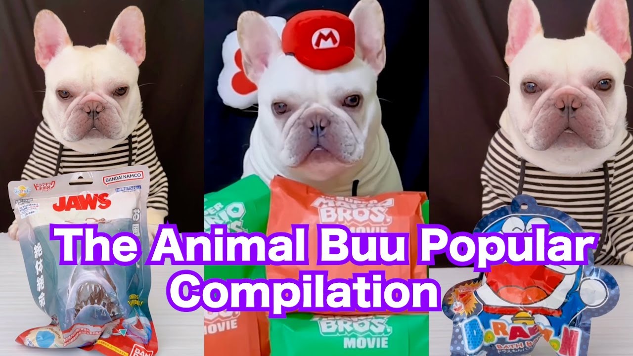 The Animal Buu Compilation | the most Fuuny collection57 #theanimalbuu ...