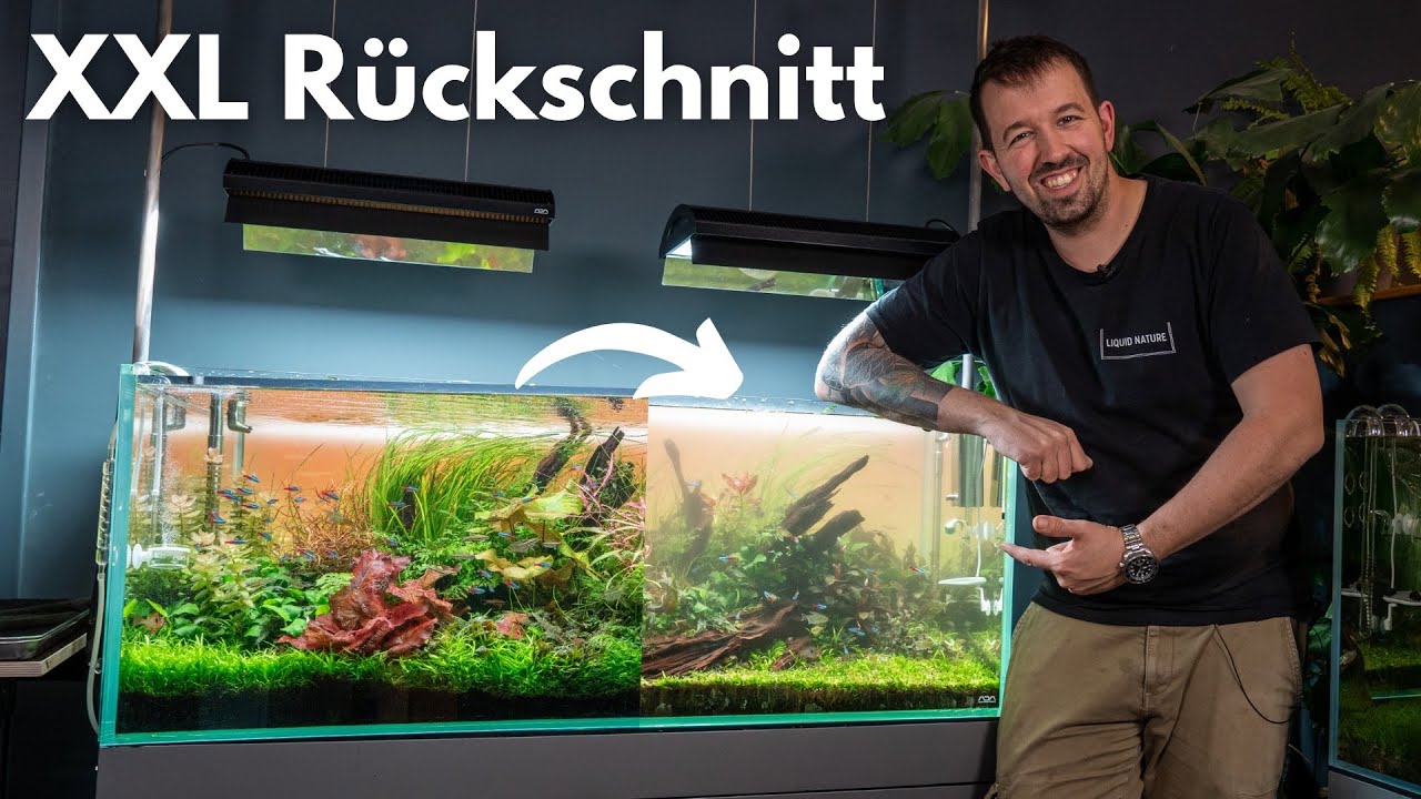 XXL Aquarium Pflege! Rückschnitt im ADA 120P! - YouTube