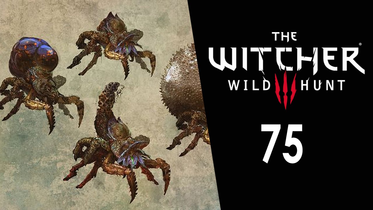 Let's Play The Witcher 3: Wild Hunt - 75 (Walkthrough) - "LASTIGSTE ...