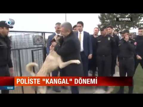 Poliste 'Kangal Dönemi'