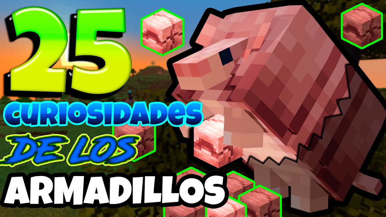 Todo sobre los Armadillos en Minecraft / 25 cosas sobre los ARMADILLOS ...