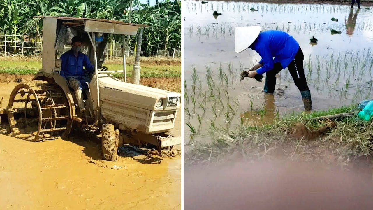 Agrimotor in Vietnam, Amazing agrimotor driver - How to grow rice ...
