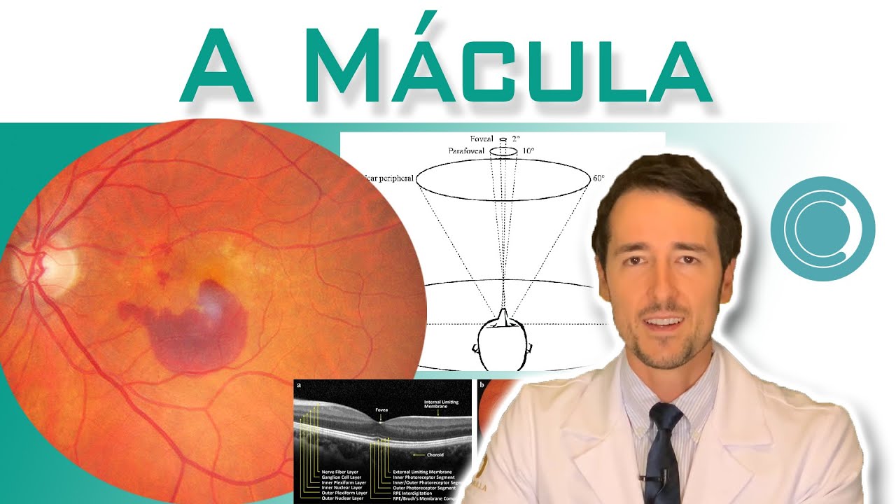 Mácula - o centro da retina - por que é tão importante? - YouTube
