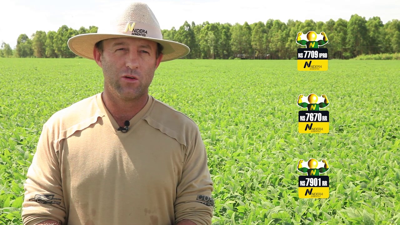 NIDERA SEMENTES - Depoimento Agricultor - Márcio Antônio Dalastra NS ...