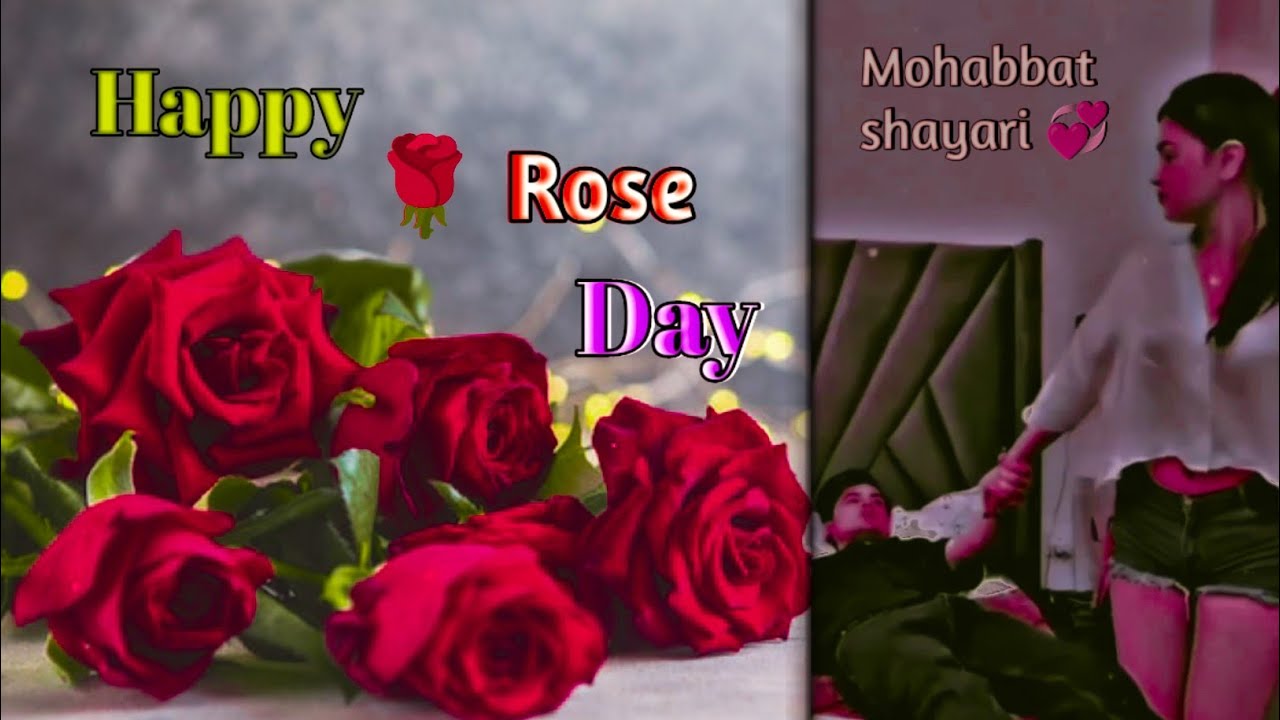 Roj Day shayari🥰|| 7 फरवरी रोज़ डे status 💞|| love shayari 👫| Hindi ...