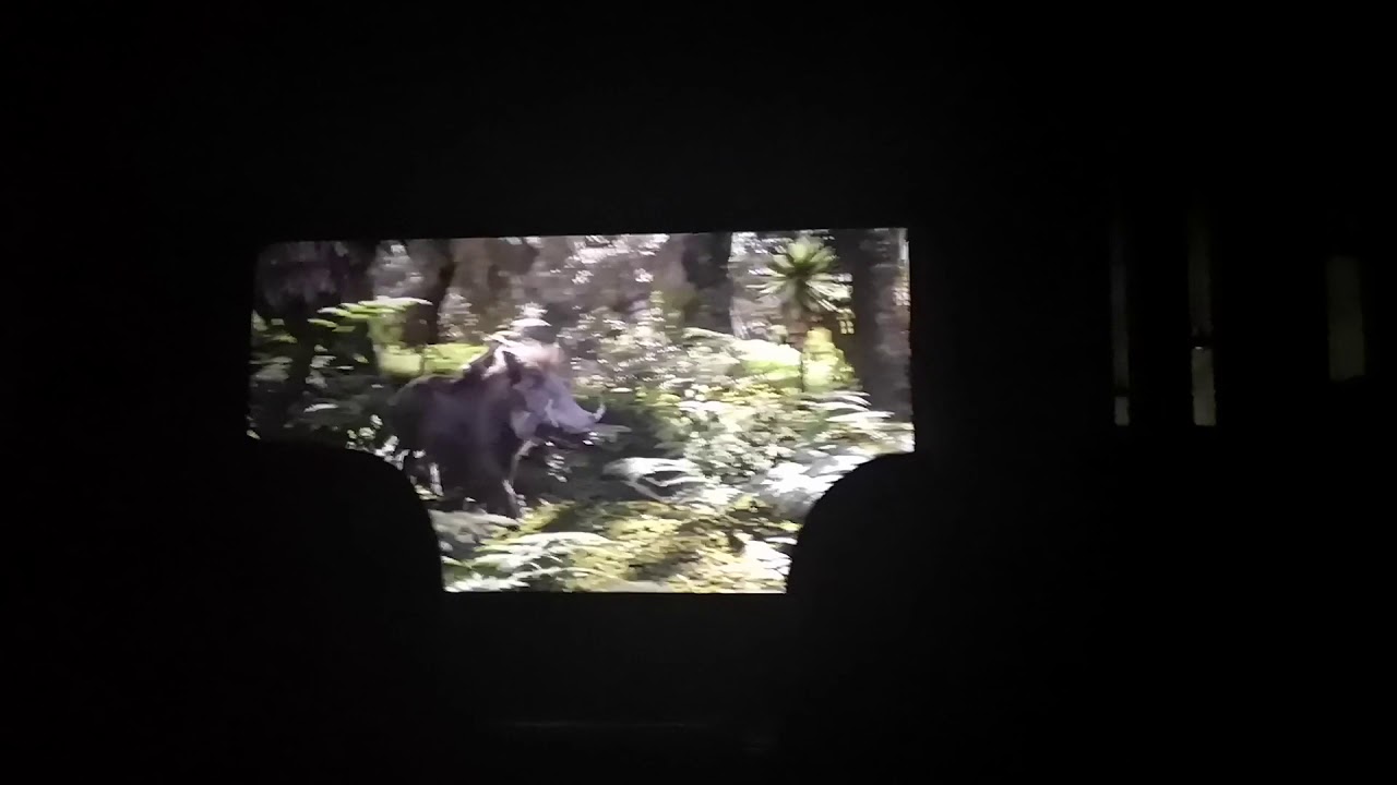 Awimbawe THE LION SLEEPS TONIGHT 2019 - YouTube