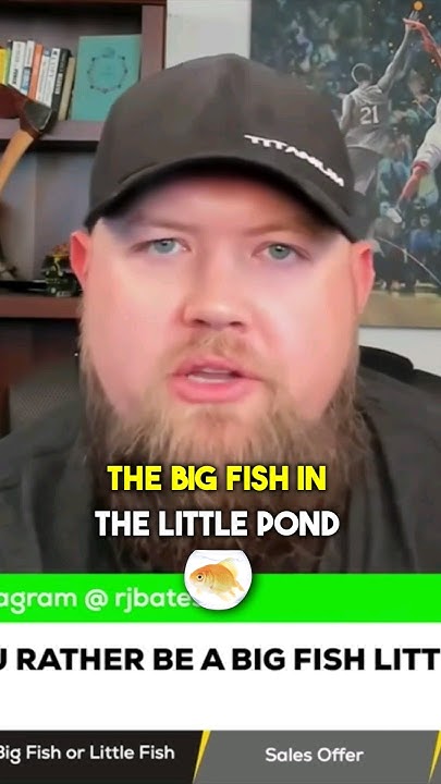 Big fish little pond or little fish big pond? #PardonTheDisruption # ...