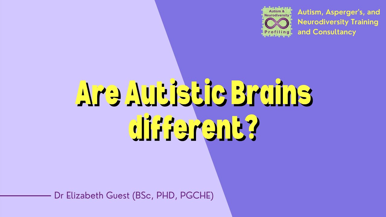 Are Autistic Brains Different YouTube are-autistic-brains-different-youtube