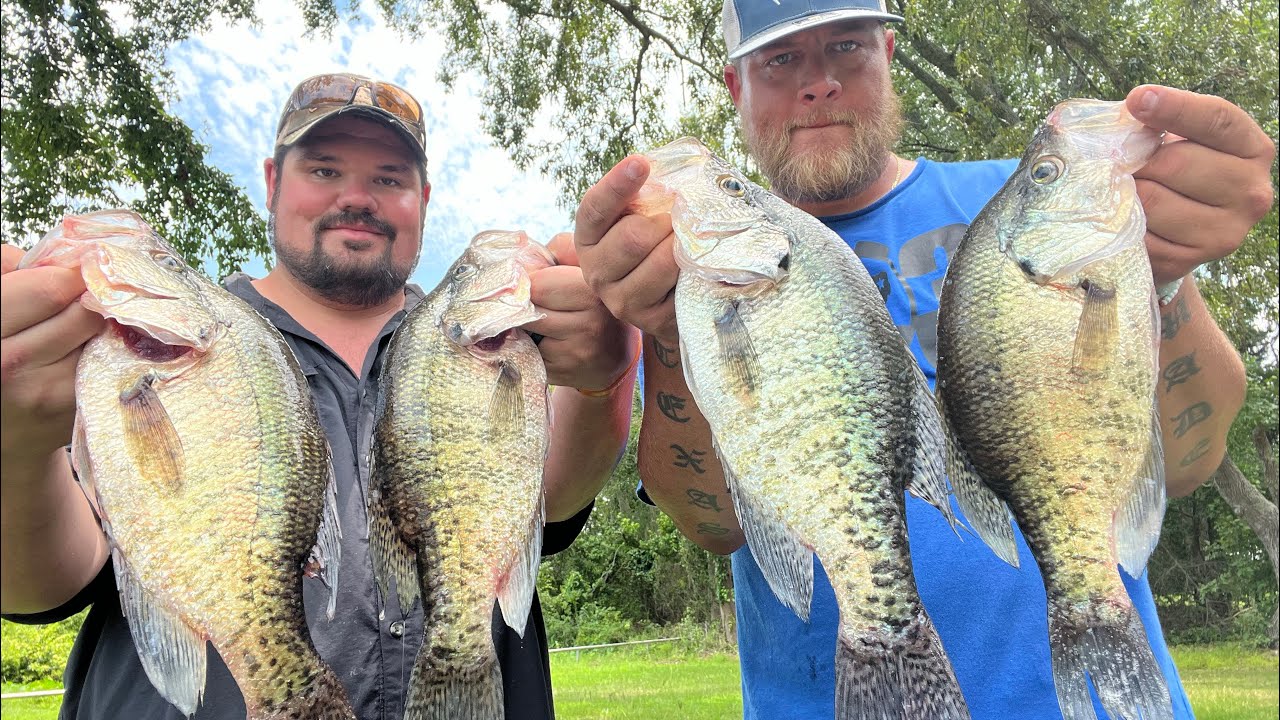 BIG Summer CRAPPIE Go CRAZY Over This BAIT‼️ Summer CRAPPIE Fishing ...