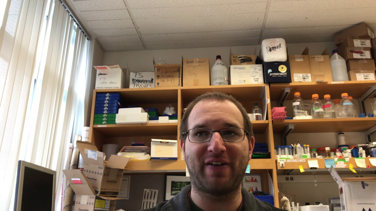 Grad School Overview - YouTube