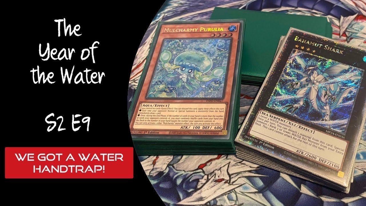 The Year of the Water! Season 2! Episode 9! Mulcharmy Shark! - YouTube