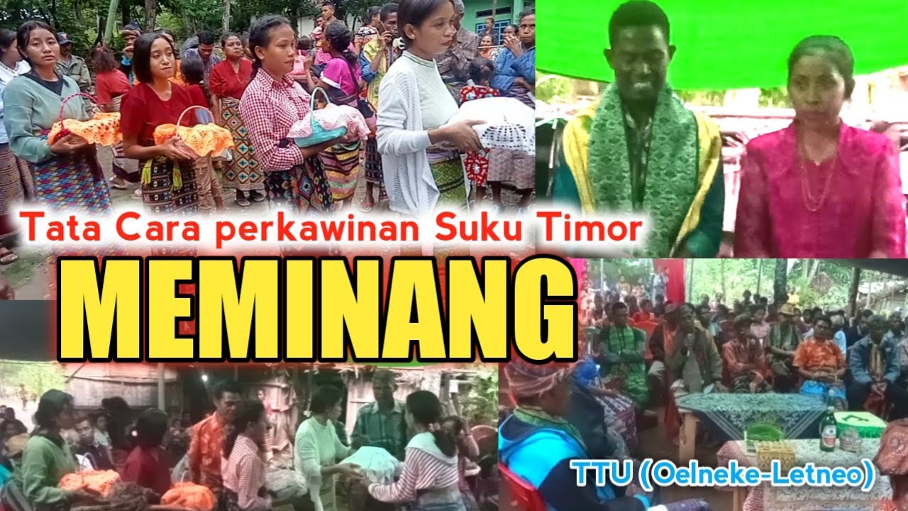 Tata cara perkawinan adat suku Timor, Meminang Wanita, Nusa Tenggara ...